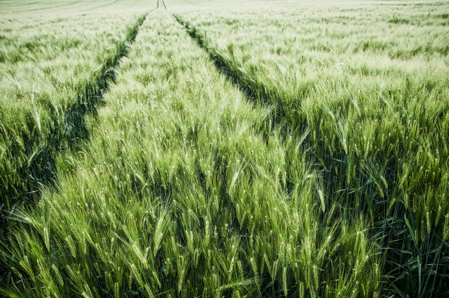 What is the Nordic Swan Ecolabel? – Official Nordic Ecolabel
